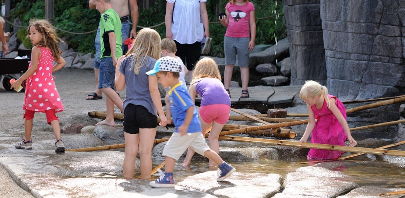 Ree Park – Ebeltoft Safari — Tiere aus allen Kontinenten erleben